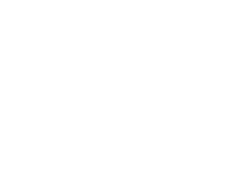 Home - Rhino Technology Group