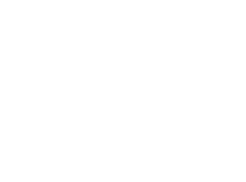 Home - Rhino Technology Group