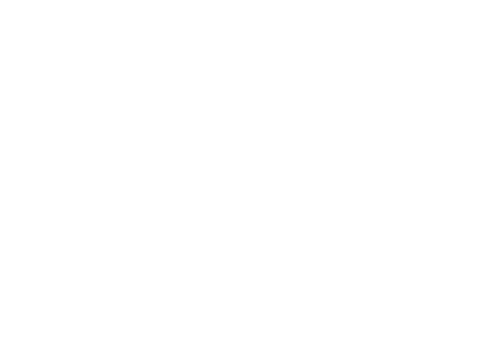 Home - Rhino Technology Group