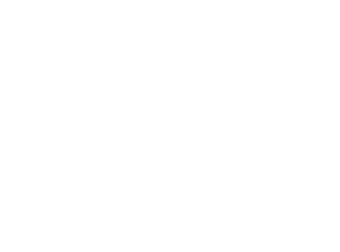 Home - Rhino Technology Group