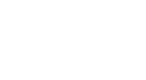 Services - Rhino Technology Group