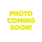 Home - Rhino Technology Group