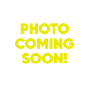 Home - Rhino Technology Group